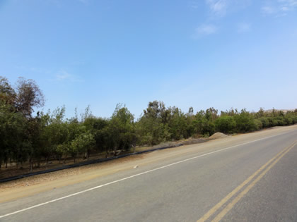 PUERTO PUNTA LOBITOS